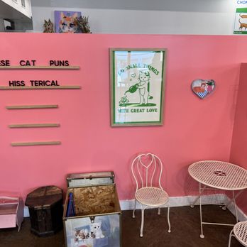 DON’T STRESS MEOWT - CAT CAFE - Updated December 2025 - 311 Photos & 41 ...