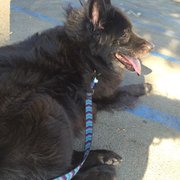 301 Moved Permanently