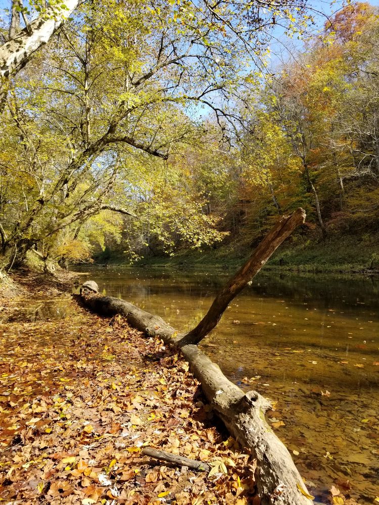 CAVE COUNTRY CANOES - Updated September 2024 - 56 Photos & 26 Reviews ...