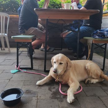 MACUSHLA BREWING COMPANY - Updated January 2026 - 107 Photos & 73 ...