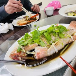 GOLDEN TREE RESTAURANT - Updated December 2025 - 455 Photos & 333 ...