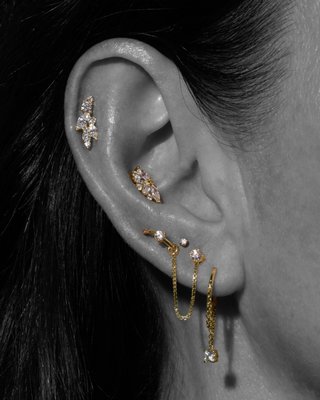 WILDLIKE - Updated December 2025 - 77 Photos & 97 Reviews - 4218 Oak ...