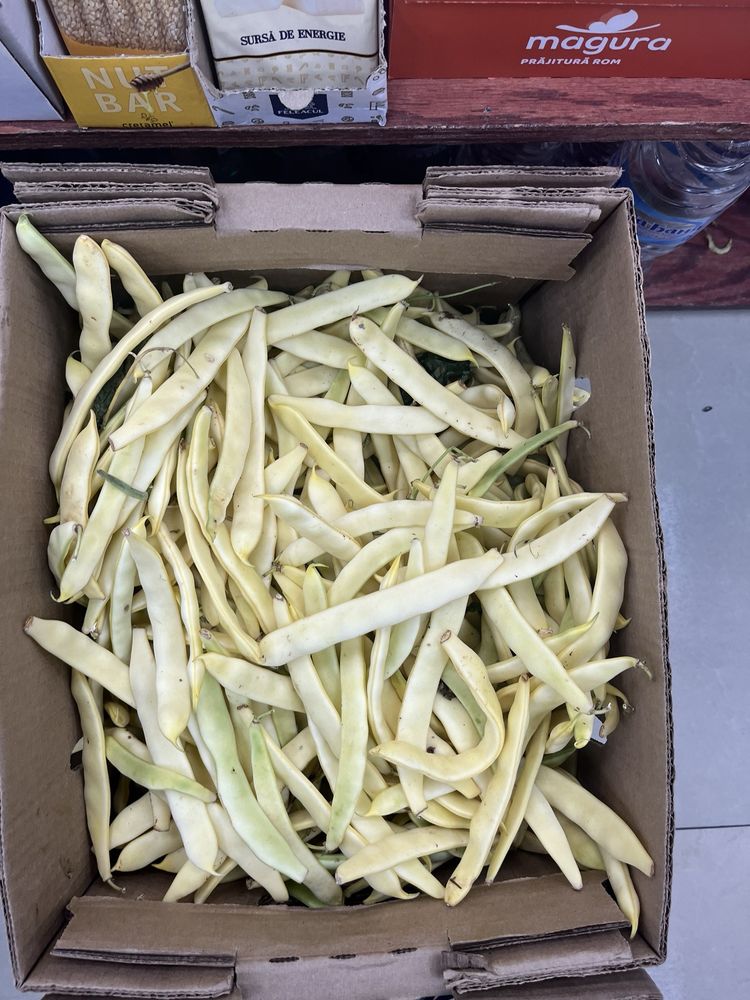 PARROT COFFEE GROCERY - Updated October 2024 - 82 Photos & 74 Reviews ...