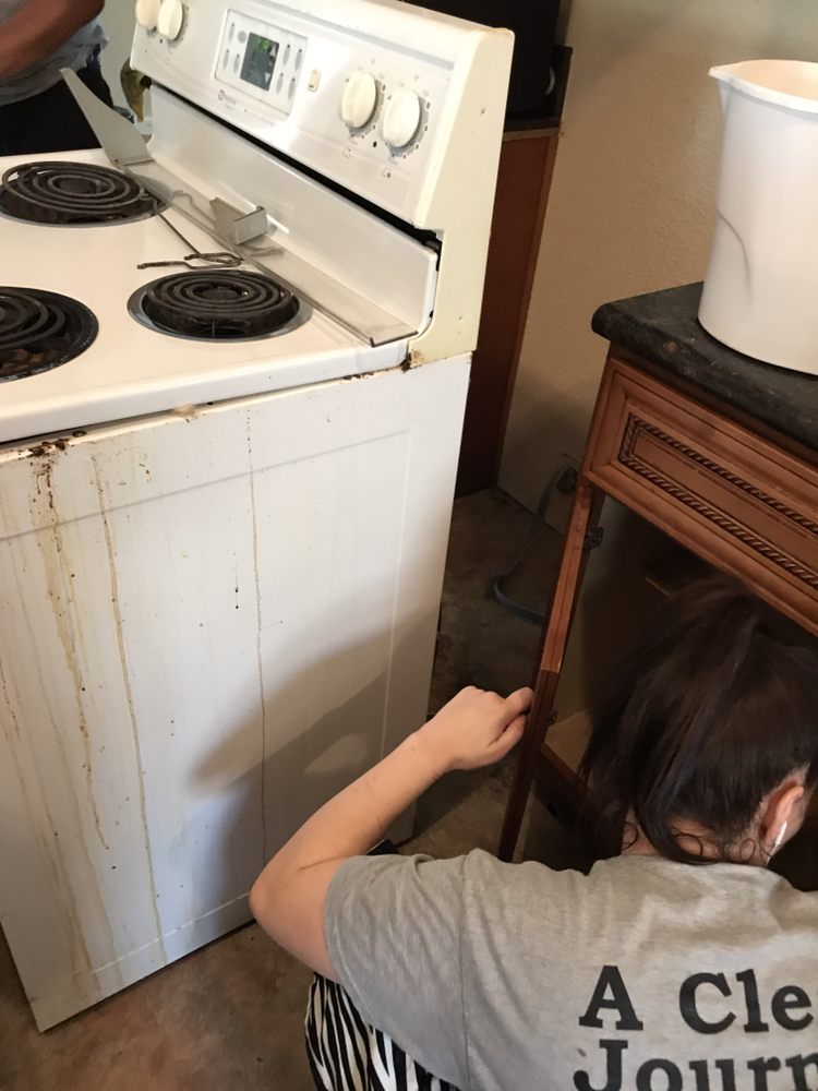 SAFARI CLEANING SERVICES - 51 Photos - 2120 Palm Ave, Highland ...