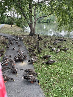 SLATER MEMORIAL PARK - Updated June 2024 - 211 Photos & 38 Reviews ...