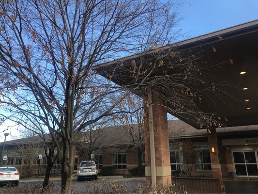 FOX RUN - Updated October 2025 - 41000 13 Mile Rd, Novi, Michigan ...