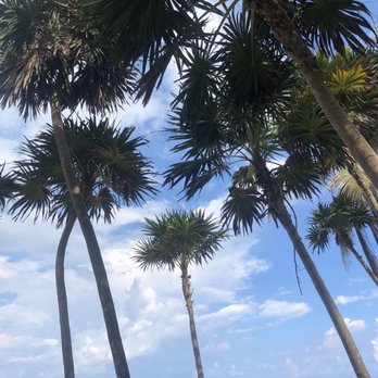 CHAMICOS - Updated October 2025 - 150 Photos & 74 Reviews - Soliman Bay ...