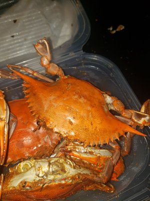 CAMERON’S SEAFOOD - Updated December 2024 - 70 Photos & 90 Reviews ...