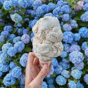 SOMERSET CREAMERY - Updated June 2024 - 71 Photos & 121 Reviews - 1931 ...