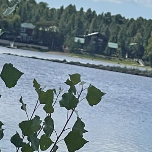 FOOL HOLLOW STATE PARK - Updated June 2025 - 301 Photos & 98 Reviews ...