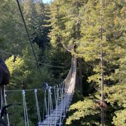 SONOMA ZIPLINE ADVENTURES - 641 Photos & 860 Reviews - Tours - 6250 ...