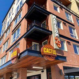 CACTUS RESTAURANTS - PROCTOR - Updated December 2025 - 654 Photos & 825 ...
