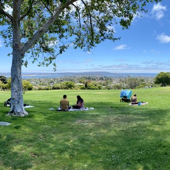 KATE O SESSIONS MEMORIAL PARK - Updated August 2024 - 477 Photos & 318 Reviews - 5115 Soledad Rd ...