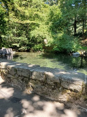 BONNEVILLE DAM FISH HATCHERY - Updated July 2025 - 490 Photos & 117 ...