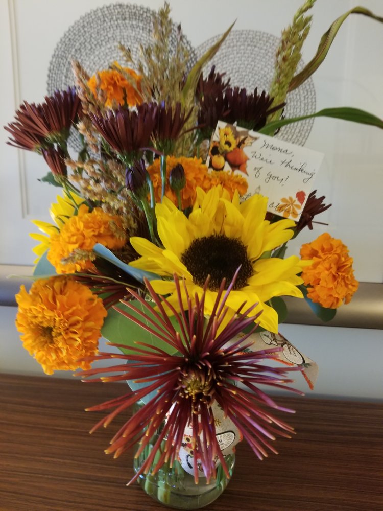 MINUTELLO JAMES S, DDS & MINUTELLO, DMD, MS - 47 Reviews - 770 Magnolia ...