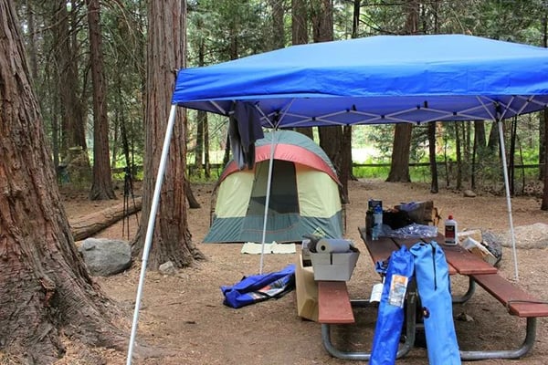 SENTINEL CAMPGROUND - Updated October 2025 - 43 Photos & 20 Reviews ...