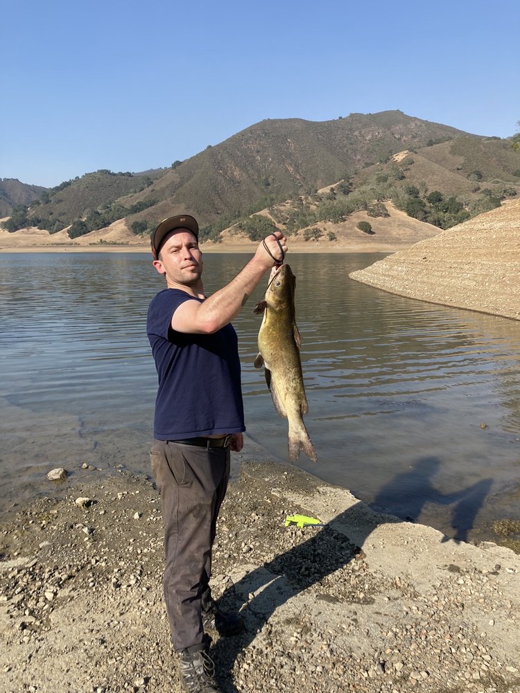 COYOTE BAIT AND TACKLE - Updated September 2024 - 18 Photos & 65 ... COYOTE BAIT AND TACKLE - Updated September 2024 - 18 Photos & 65 ...