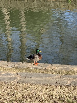 GUSSIE FIELD WATTERWORTH PARK - Updated June 2025 - 16 Photos - 2610 ...