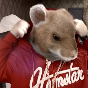 LKQ TRIPLETT ASAP - Updated September 2025 - 1435 Triplett Blvd, Akron ...