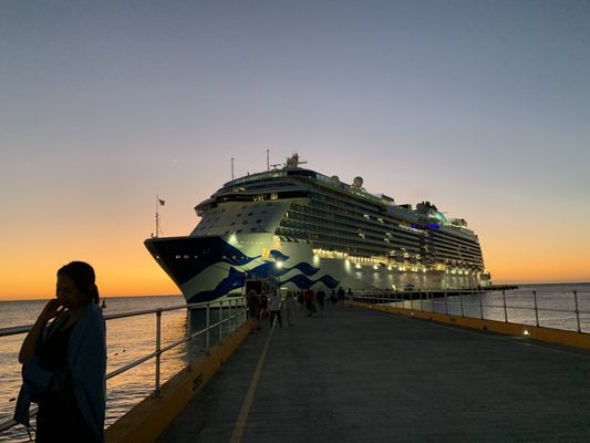 PRINCESS CRUISES - Updated December 2024 - 2059 Photos & 344 Reviews ...