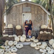 TINEZ FARMS - 258 Photos & 35 Reviews - 16405 SW 177th Ave, Miami, FL ...