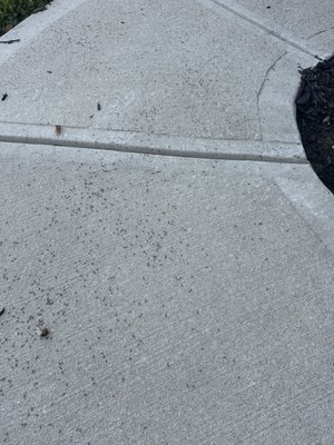 BUG SHARK - Updated December 2025 - 24 Reviews - 4710 Interstate Dr ...