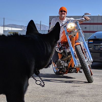 GRUMPY’S GARAGE - Updated December 2025 - 80 Photos & 20 Reviews - 4570 ...