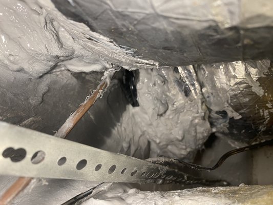 ELMER’S HOME SERVICES - Updated October 2025 - 52 Photos & 124 Reviews ...