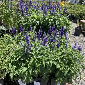 THE STANDARD DESIGN GROUP NURSERIES - Updated October 2024 - 13 Photos ...