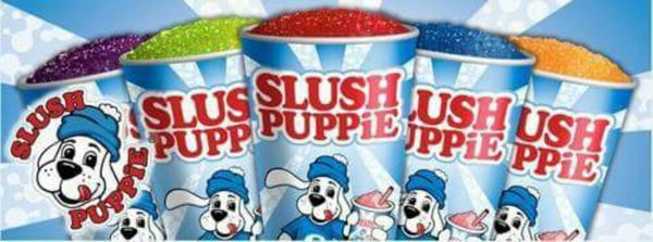 DOG WORLD - Updated July 2025 - 12 Photos & 40 Reviews - 1164 Madison ...