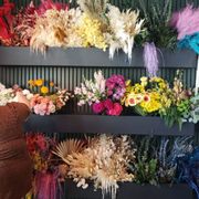 THE FREDERICK - 21 Photos - 1215 E Missouri Ave, Phoenix, AZ - Yelp