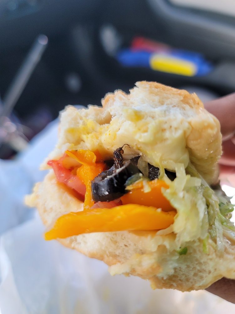 SHIRLEY SUB SHOPPE - Updated August 2025 - 31 Photos & 62 Reviews - 1 ...