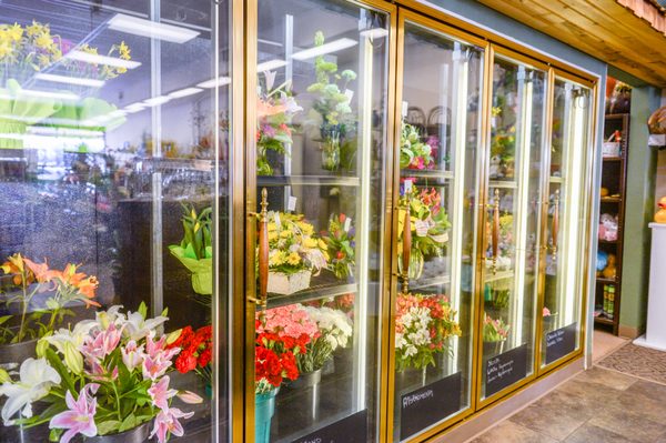 DUFFY’S FLOWERS & PLANTS - Updated January 2026 - 33 Photos & 41 ...