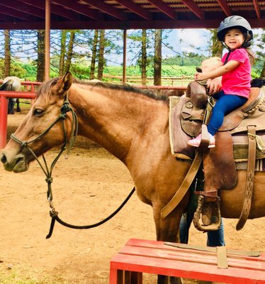 GUNSTOCK RANCH - Updated October 2025 - 1295 Photos & 902 Reviews - 56 ...