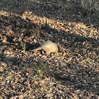 SAM HOUSTON TRAIL PARK - Updated July 2025 - 32 Photos & 17 Reviews ...