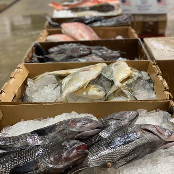 THE NEW FULTON FISH MARKET - Updated December 2025 - 112 Photos & 46 ...