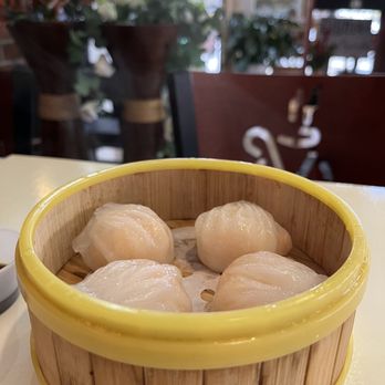 ORCHID TEA DIM SUM CAFE 8 AVE - Updated January 2026 - 57 Photos & 24 ...