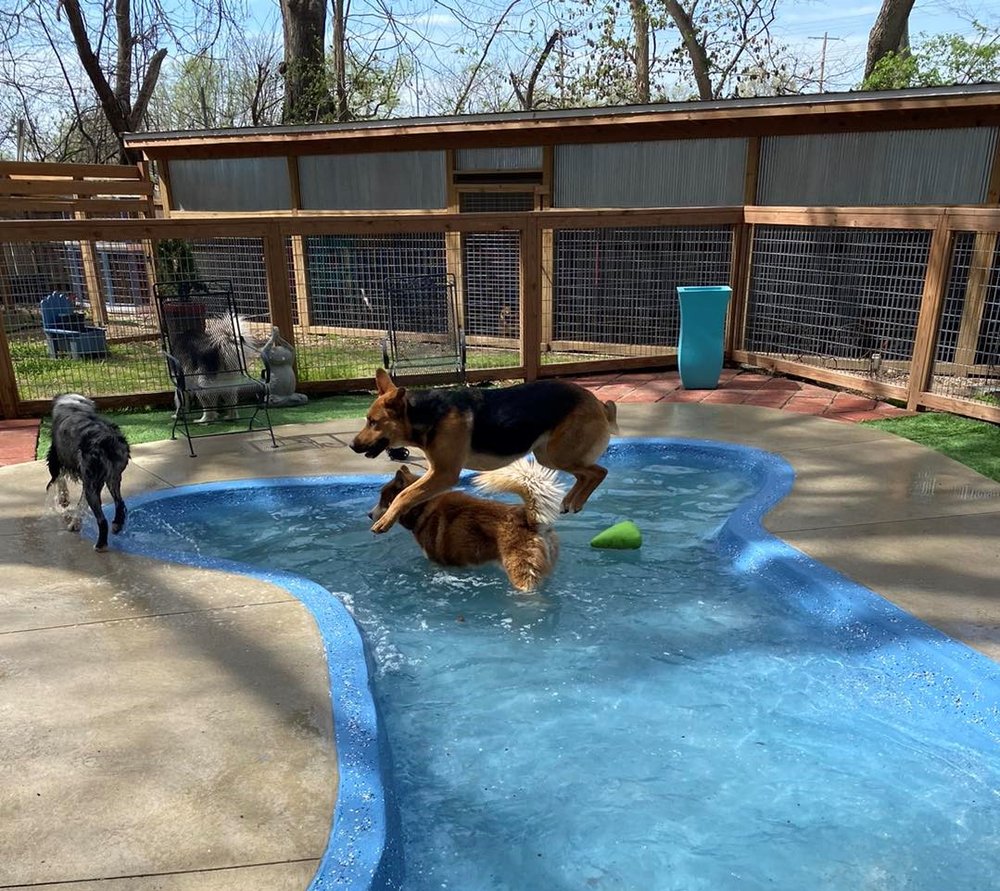 DEB’S RIVERVIEW KENNEL - Updated April 2026 - 119 Photos & 24 Reviews ...