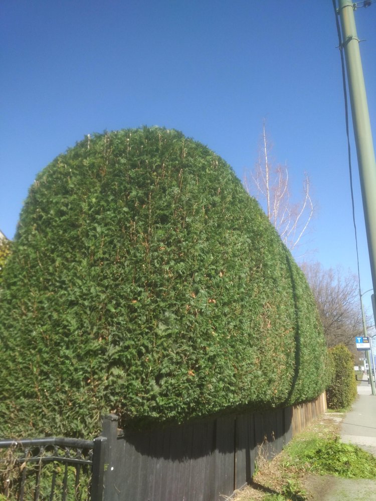 THE HEDGE KEEPER - Updated January 2025 - Burnaby, British Columbia ...