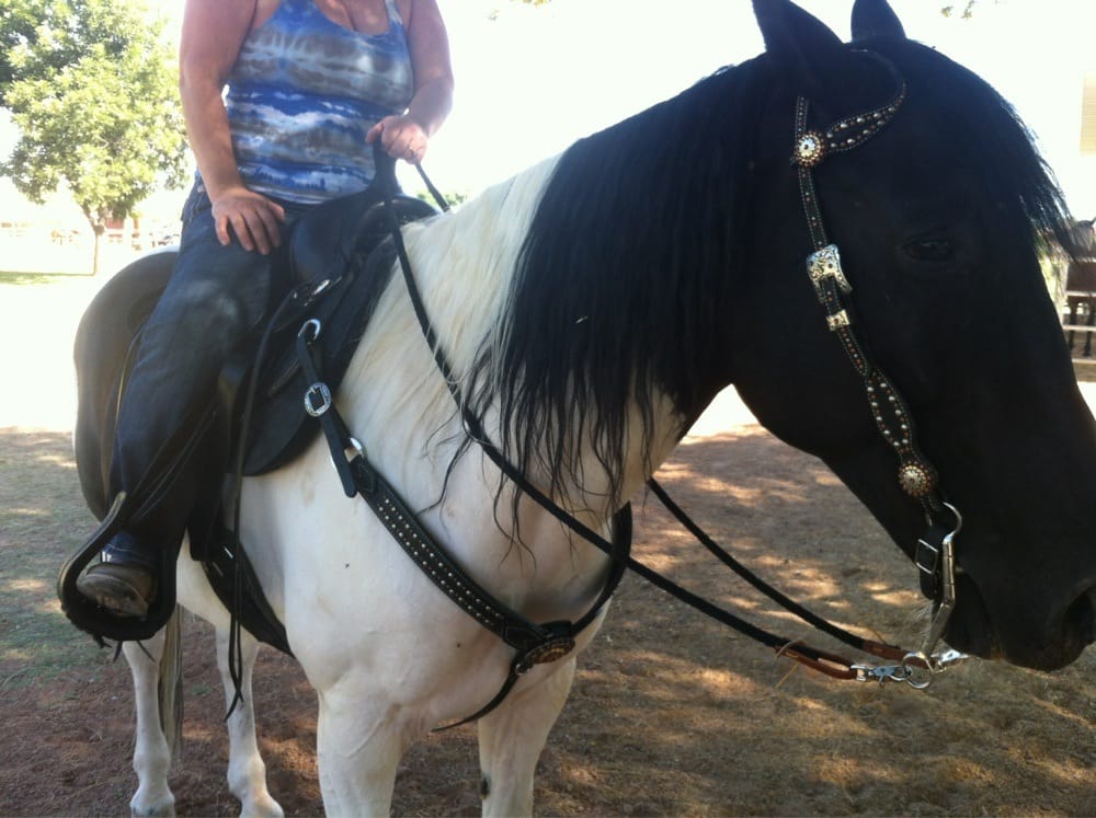 DESERT SADDLERY - Updated July 2025 - 18 Reviews - 1605 S Gilbert Rd ...