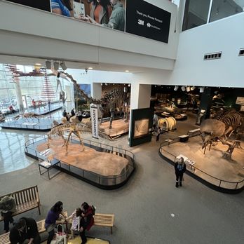 SCIENCE MUSEUM OF MINNESOTA - Updated August 2025 - 251 Photos & 203 ...