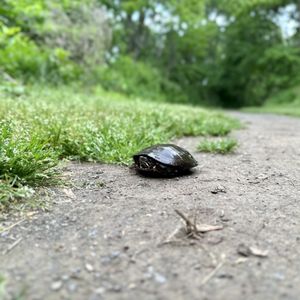 HAL AND BERNI HANSON REGIONAL PARK - Updated October 2025 - 17 Photos ...