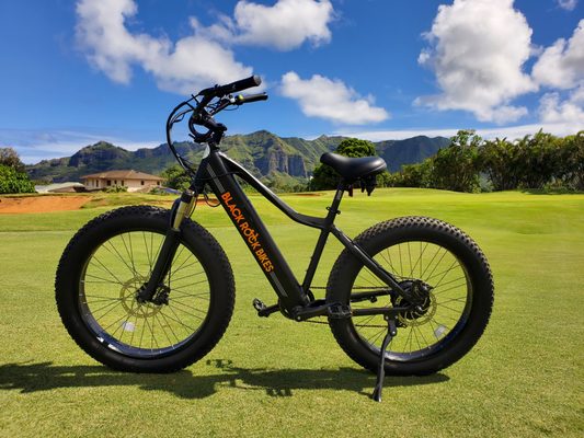 KAUAI E-BIKES - Updated December 2025 - 32 Photos & 20 Reviews - 5460 ...