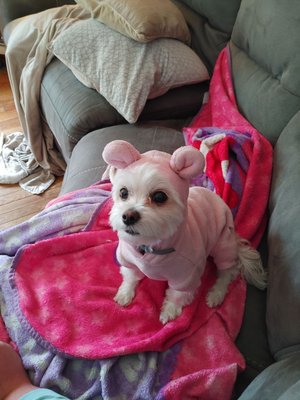 NEWTON VETERINARY HOSPITAL - Updated October 2025 - 15 Photos & 128 ...