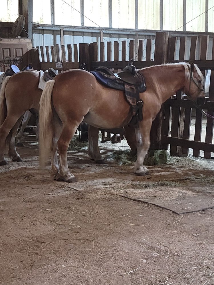 NATURAL VALLEY RANCH - Updated August 2025 - 40 Photos & 21 Reviews ...