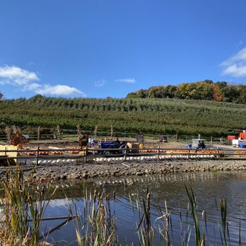 SILVERMAN’S FARM - Updated September 2025 - 187 Photos & 139 Reviews ...