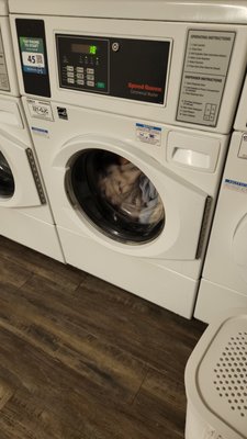 CSC SERVICEWORKS - Updated February 2025 - 50 Photos & 210 Reviews ...