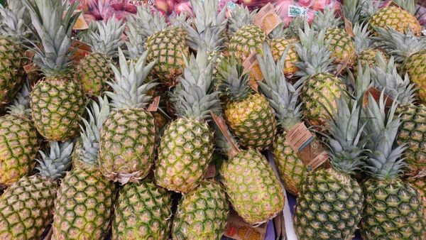 UNITED BROTHERS FRUIT MARKETS - Updated May 2026 - 112 Photos & 133 ...