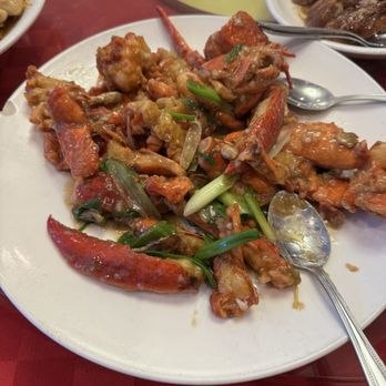 CANTON MANOR - Updated October 2025 - 962 Photos & 161 Reviews - 220-15 ...