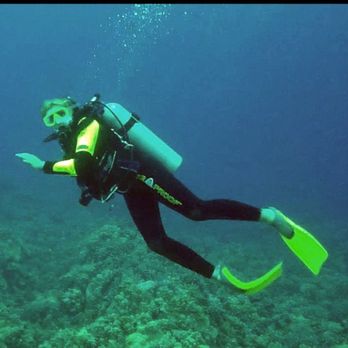 DIVE N’ SURF - Updated November 2025 - 107 Photos & 168 Reviews - 504 N ...